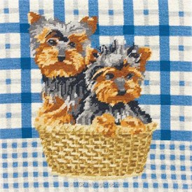 CreaMagic : Broderie, Point de croix, Canevas, Fils DMC