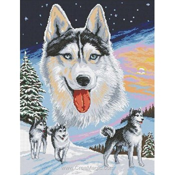 Kit broderie diamant 3d husky de Diamond Painting AZ-1226