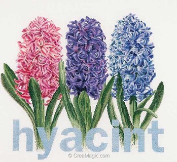 Kit à broder hyacinth sur aida TG-434A de Thea Gouverneur