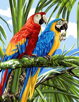 Les macaws canevas chez Royal Paris