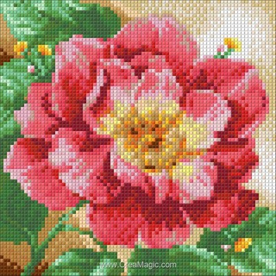 Broderie diamant blooming peonies - Diamond Painting