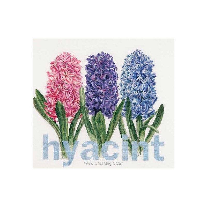 Kit à broder hyacinth sur aida TG-434A de Thea Gouverneur