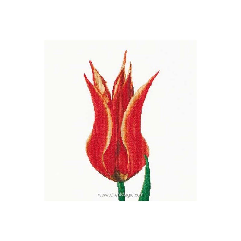 La broderie red/yellow lily flowering tulip sur aida TG-515A chez Thea ...