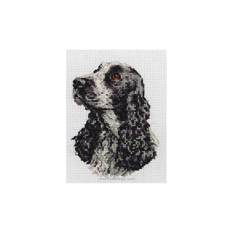 Tableau point de croix cocker spaniel portrait - Anchor