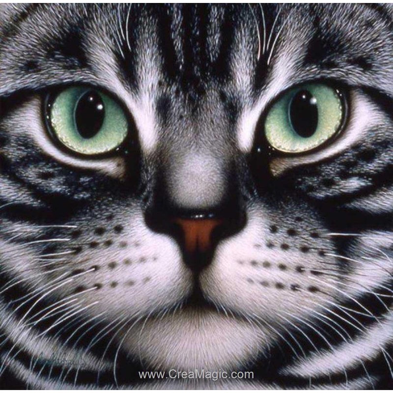 Broderie diamant 3d cat's face AZ-1085 chez Diamond Painting